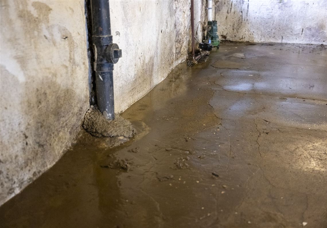 Understanding Basement Flooding: Causes, Prevention, and Solutions